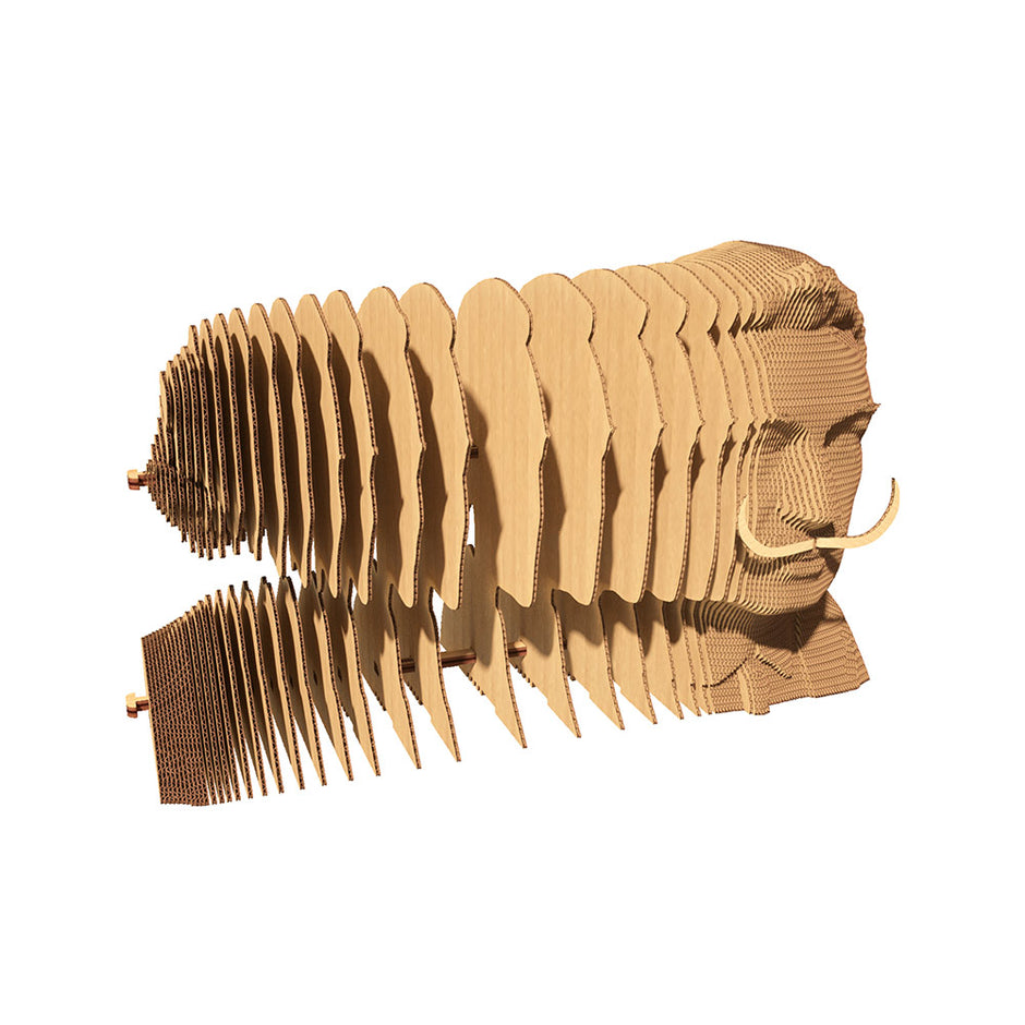 3D Cardboard sculpture puzzles by Cartonic – cartonic.store